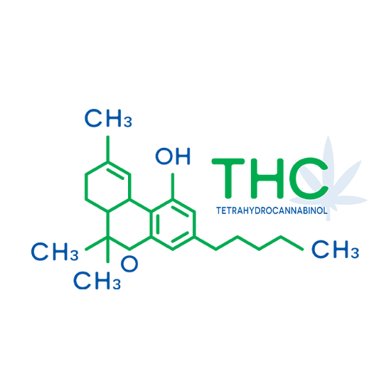 Tilray Alternative Beverages
